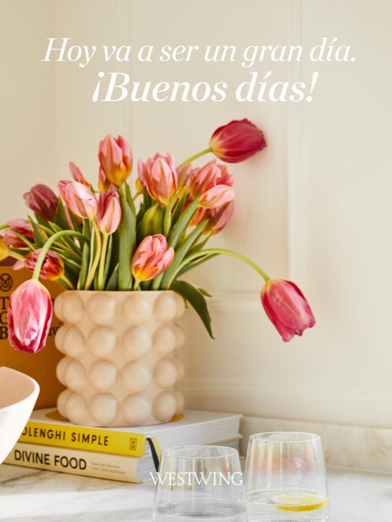 40 Frases de buenos días para empezar el día con positividad | Westwing