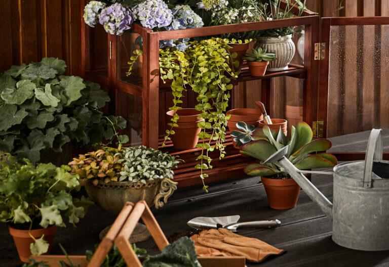 Amandelboom: een bijzondere boom met een heerlijke vrucht | Westwing