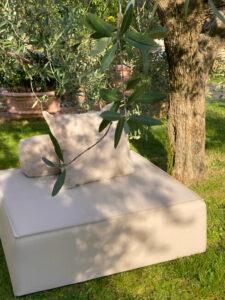 10x kleine voortuin ideeën voor een rijtjeshuis | Westwing