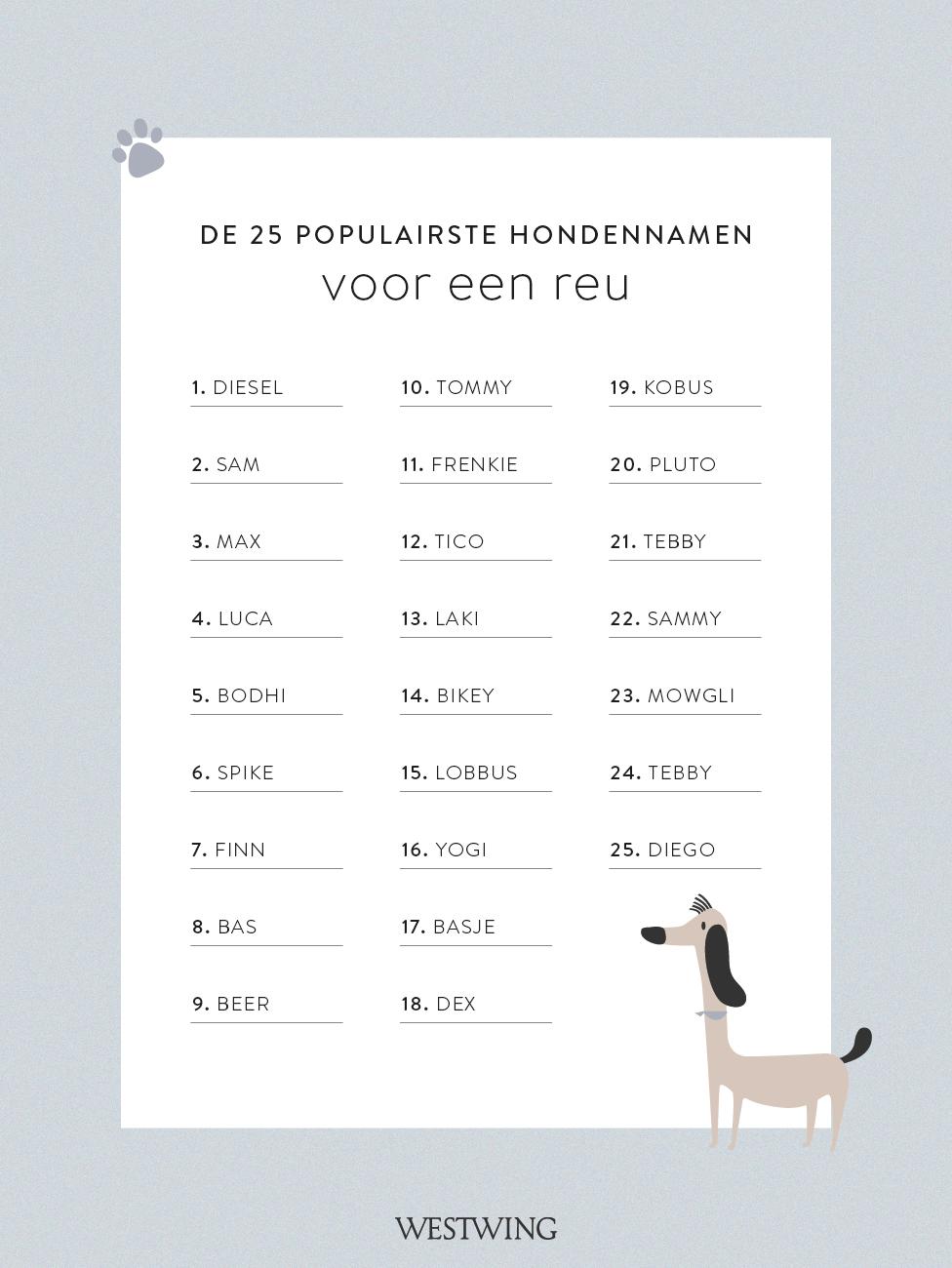 120 leuke hondennamen voor een reu in 2023 | Westwing