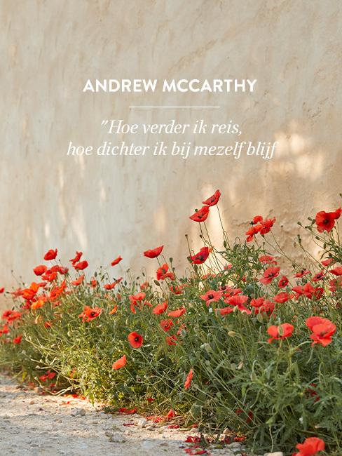 63x teksten om iemand een fijne vakantie te wensen | Westwing