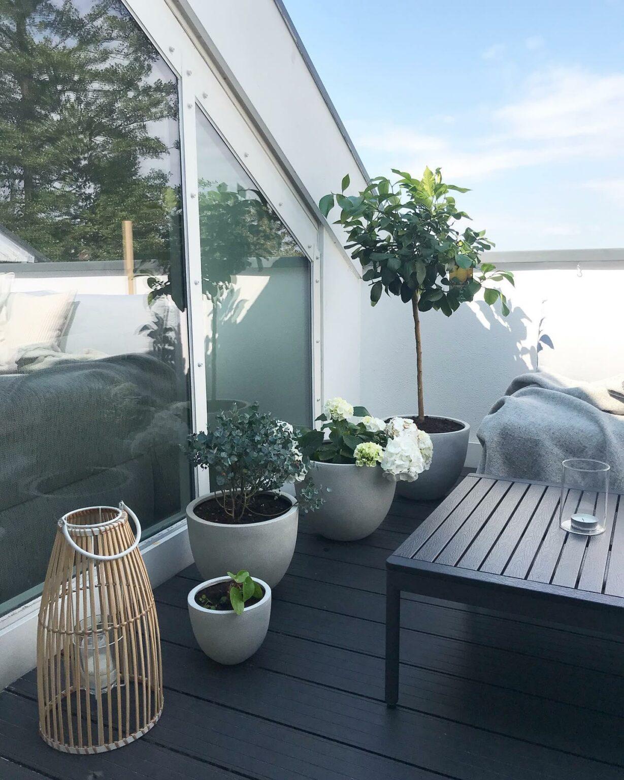 Dakterras inrichten: 5 tips voor het mooiste dakterras | Westwing